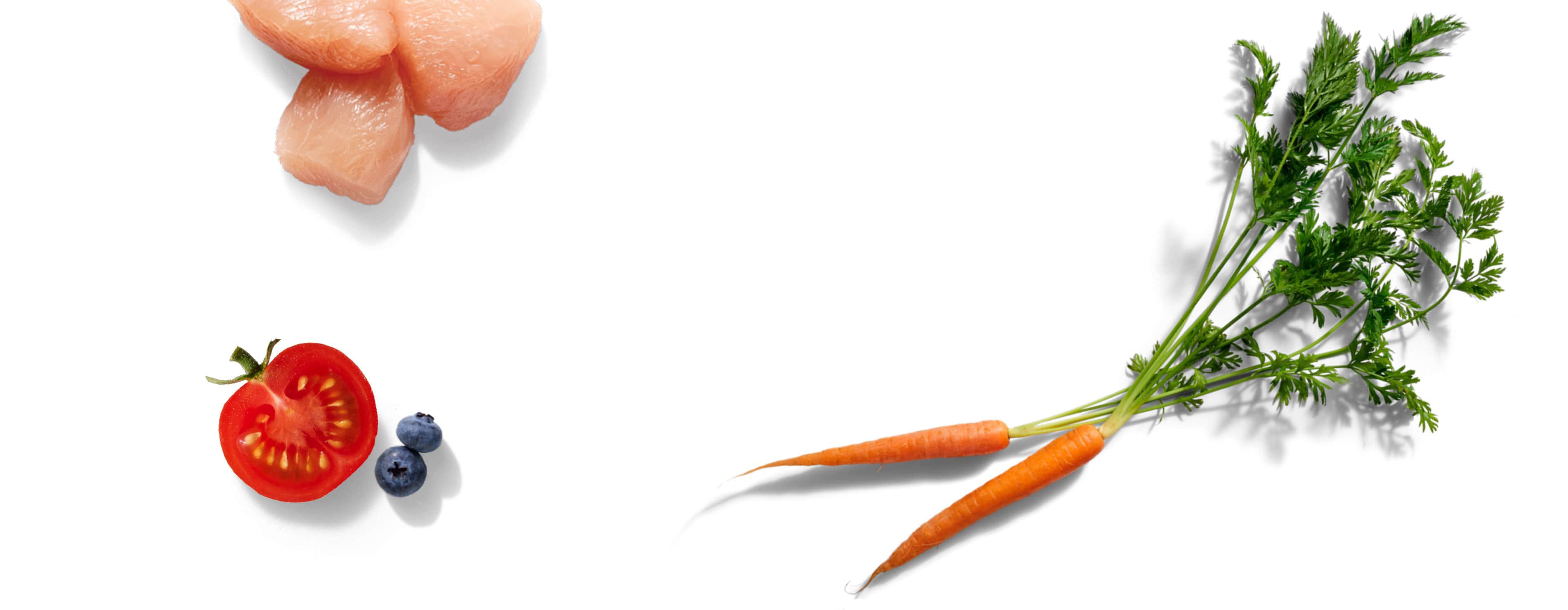 Natural Choice | NUTRO™